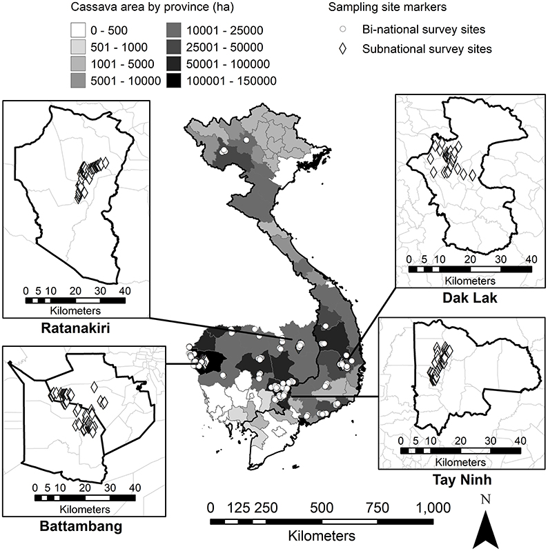 Frontiers | Raising the Stakes: Cassava Seed Networks at Multiple ...