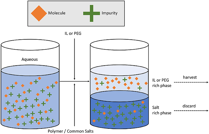 Frontiers | Ionic Liquid Aqueous Two-Phase Systems From a ...