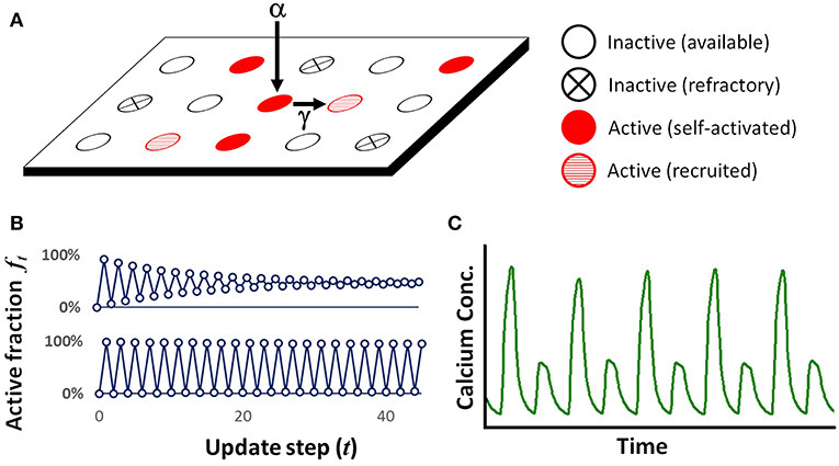 Frontiers | Improved Prediction of Periodicity Using Quartet ...
