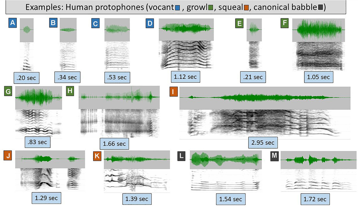 Frontiers | Language Origins Viewed in Spontaneous and Interactive ...