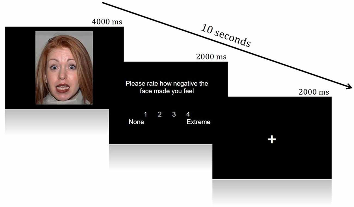 Frontiers | Convergent Neural Correlates of Empathy and Anxiety During ...