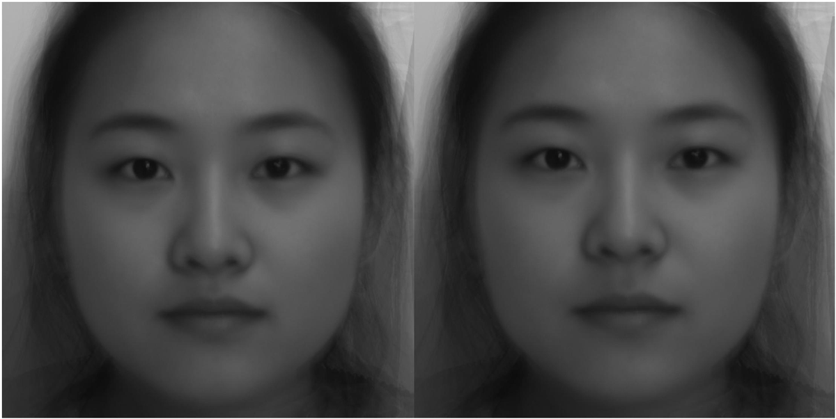 Frontiers | Facial Attractiveness of Chinese College Students With ...