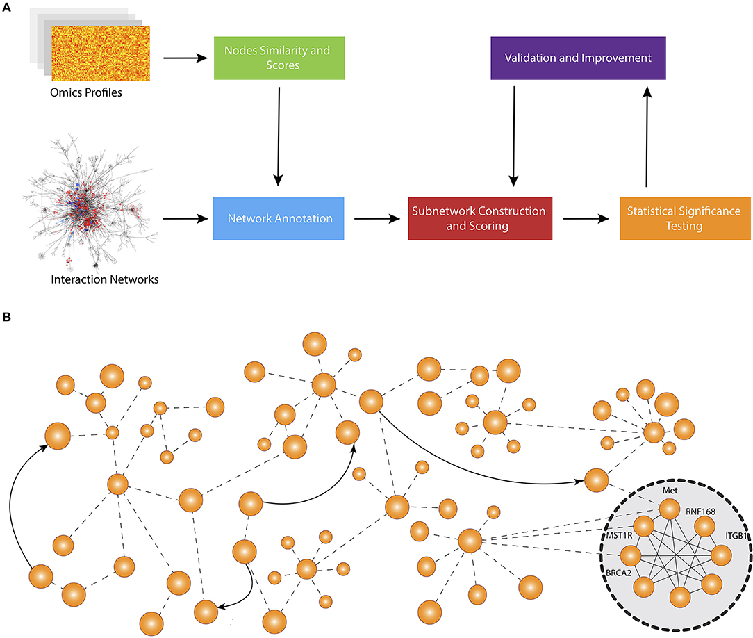 Frontiers | A Comprehensive Survey of Tools and Software for Active Subnetwork Identification