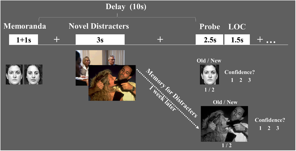 Frontiers | Neural Correlates of Opposing Effects of Emotional ...