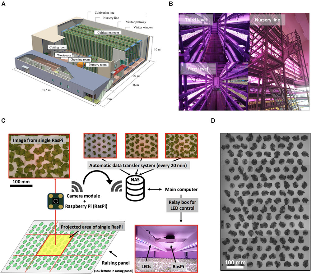 Frontiers | Leaf-Movement-Based Growth Prediction Model Using Optical ...