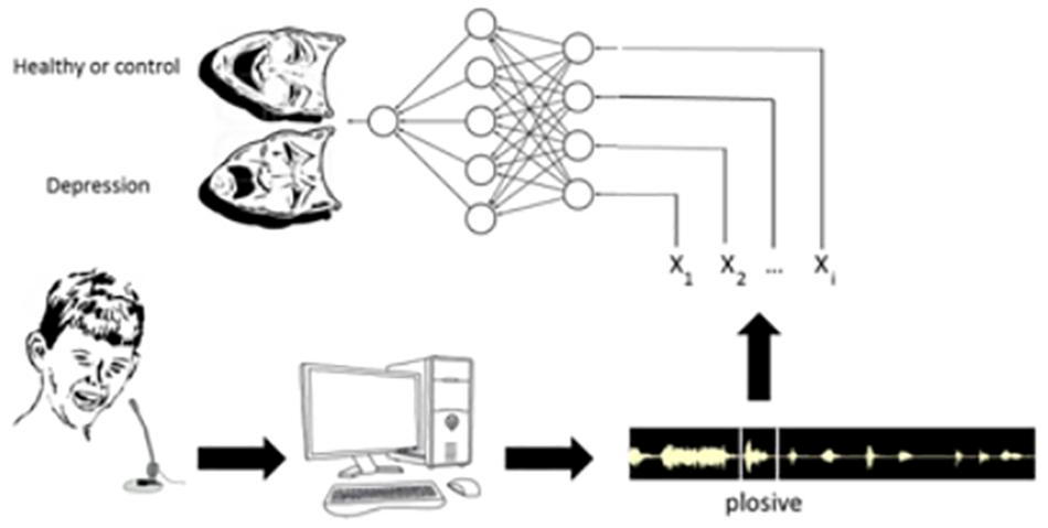 Frontiers | Plausibility of a Neural Network Classifier-Based ...
