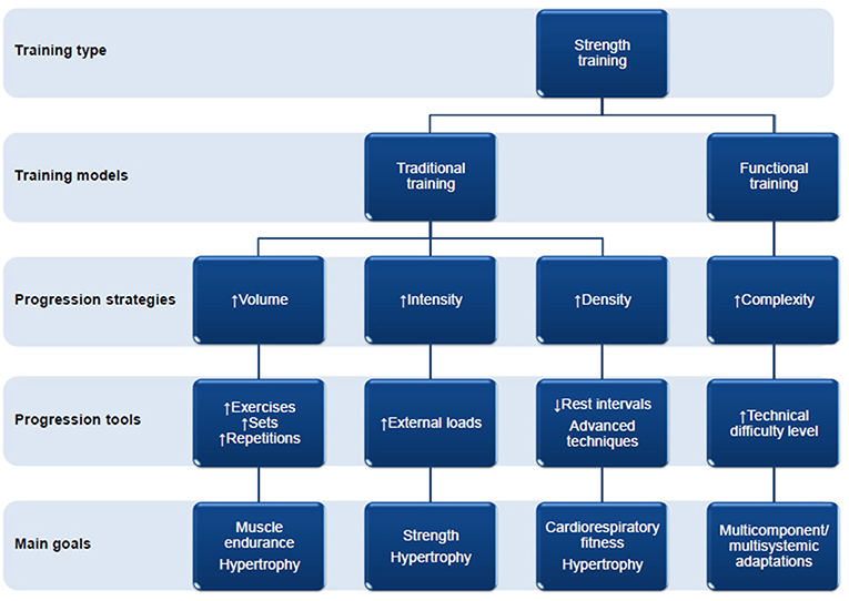 Frontiers | Complexity: A Novel Load Progression Strategy in Strength ...