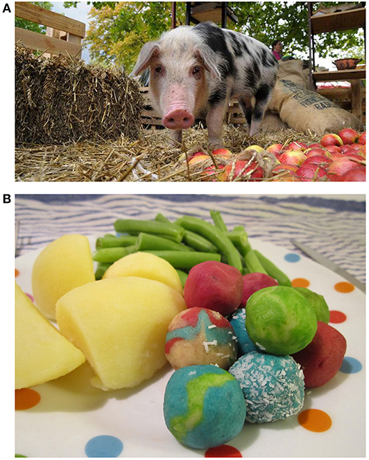 Frontiers | How Normal Meat Becomes Stranger as Cultured Meat Becomes ...