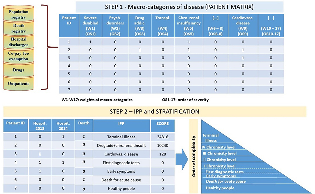 Frontiers | The Individual Profile of Pathology as a New Model for ...