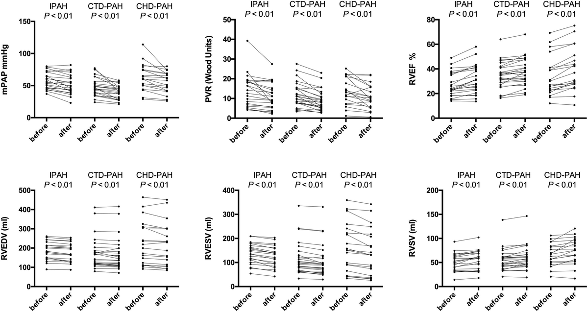 Frontiers | Acute Iloprost Inhalation Improves Right Ventricle Function ...