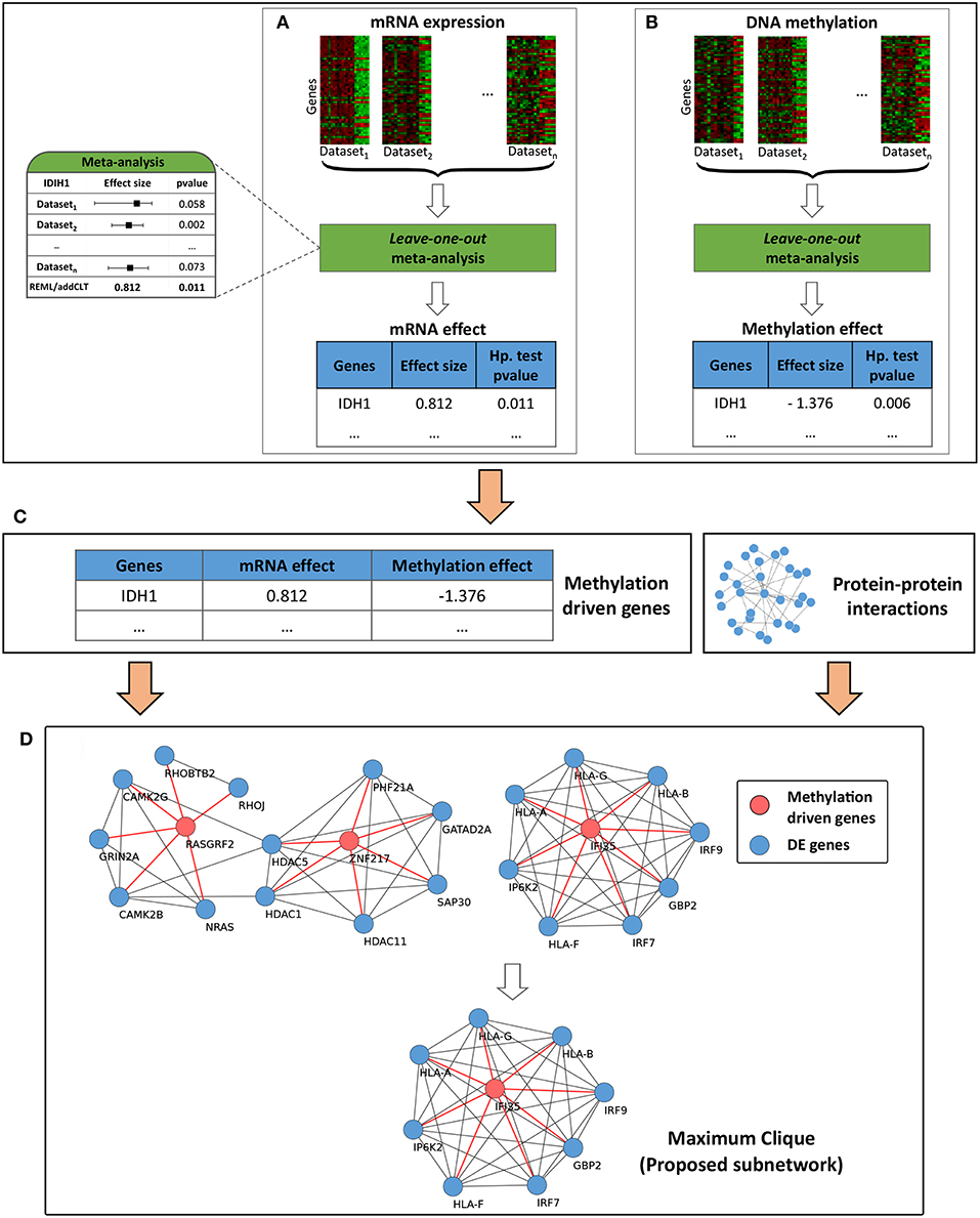 Frontiers | A Multi-Cohort and Multi-Omics Meta-Analysis Framework to ...