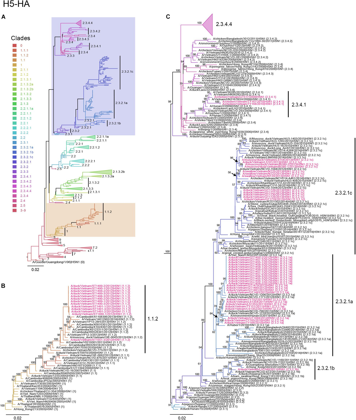 Frontiers | Isolation of Highly Pathogenic H5N1 Influenza Viruses in ...