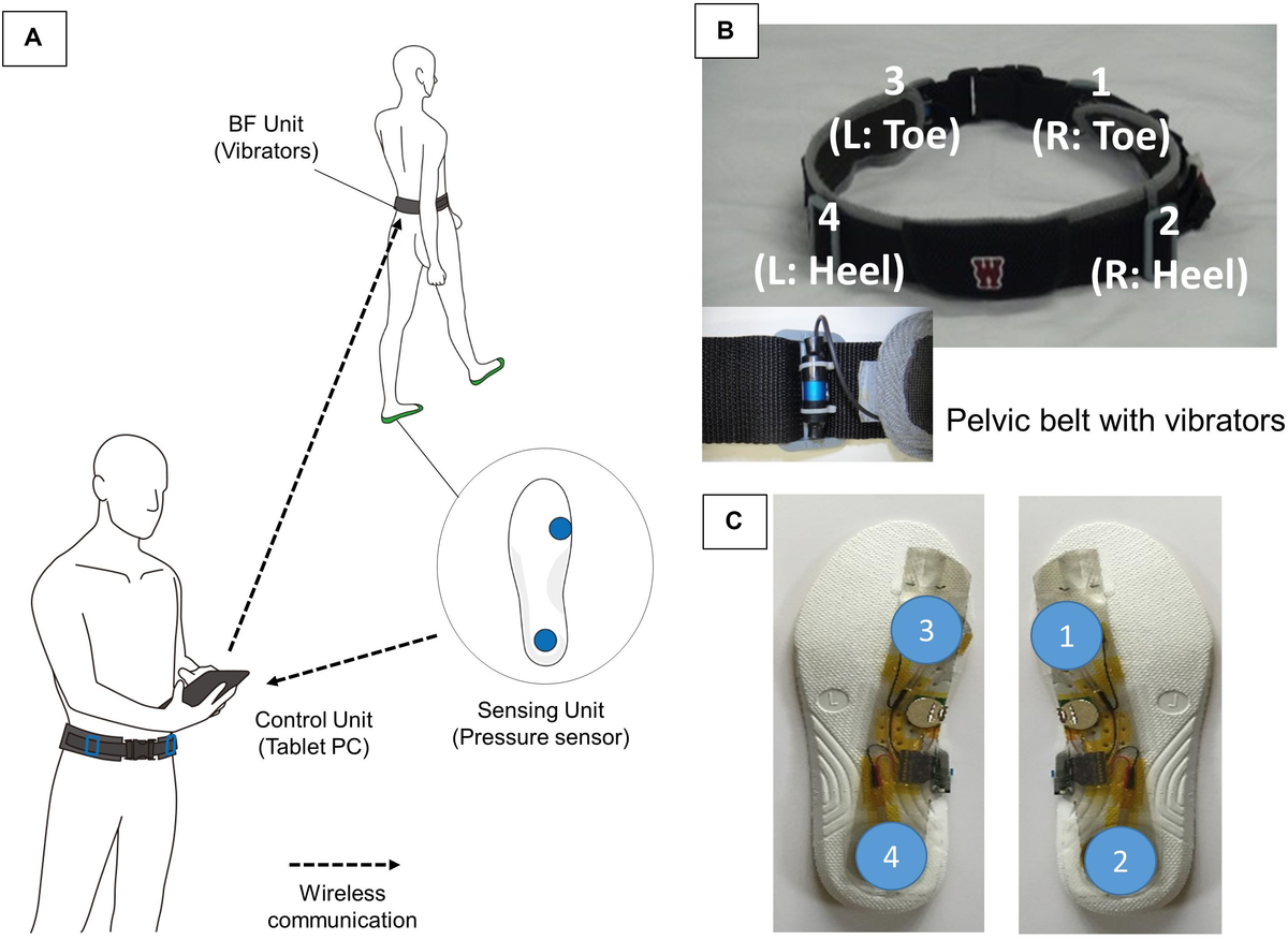 Frontiers | Using a Vibrotactile Biofeedback Device to Augment Foot ...