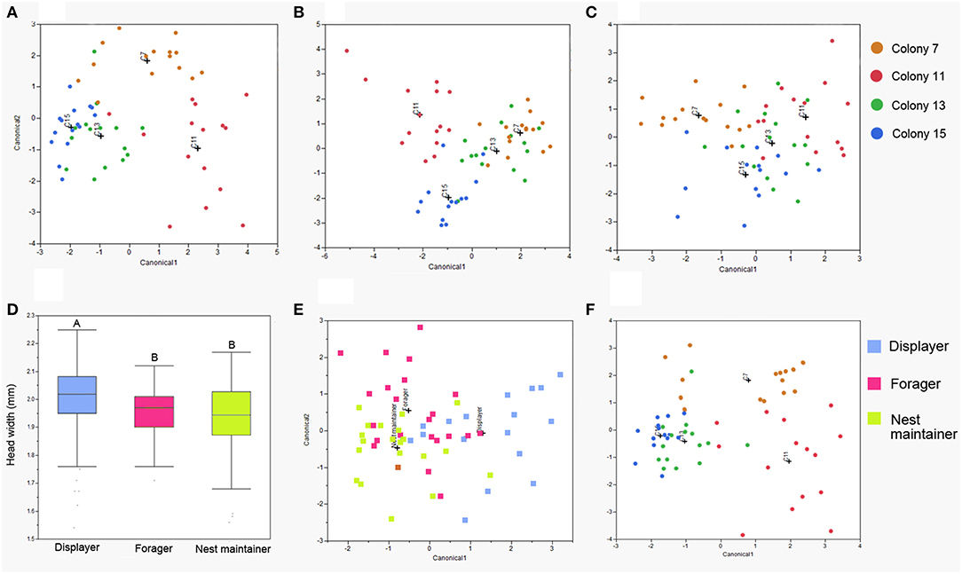 Frontiers | Task-Specific Recognition Signals Are Located on the Legs ...