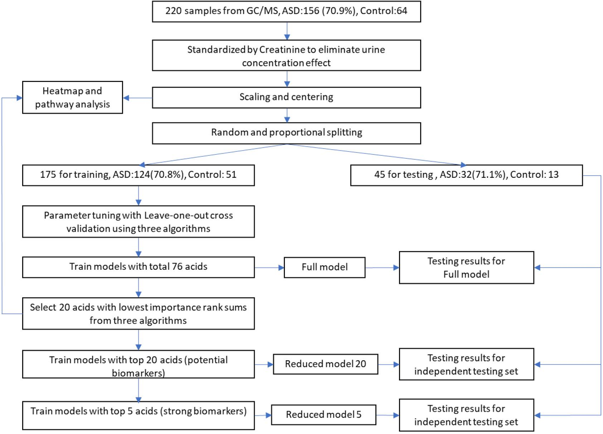 Frontiers | Urine Organic Acids as Potential Biomarkers for Autism ...