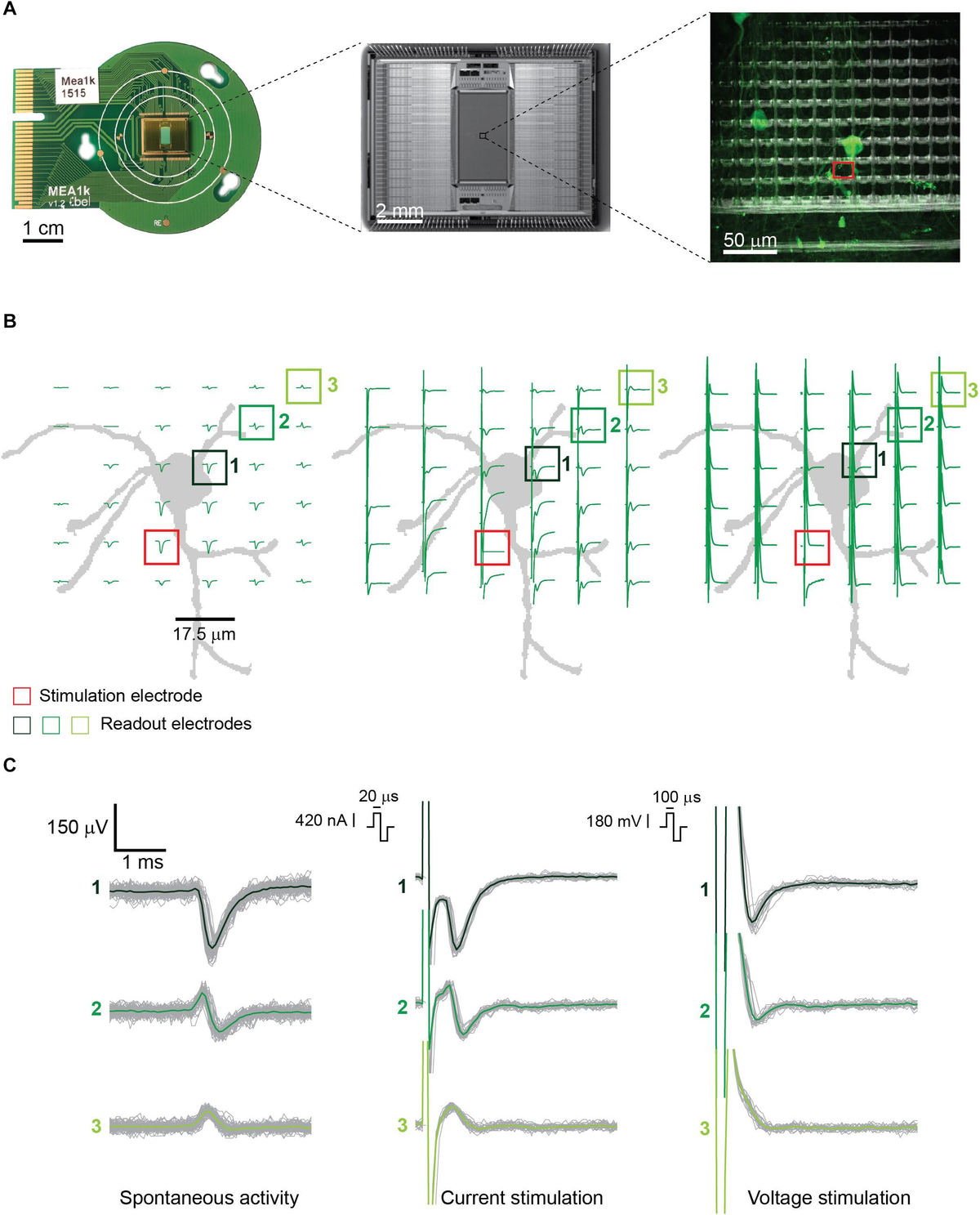 Frontiers | Single-Cell Electrical Stimulation Using CMOS-Based High ...