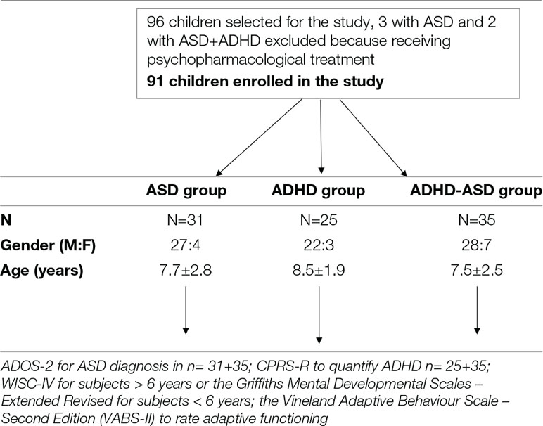 Frontiers | Neurodevelopmental Disorders and Adaptive Functions: A ...