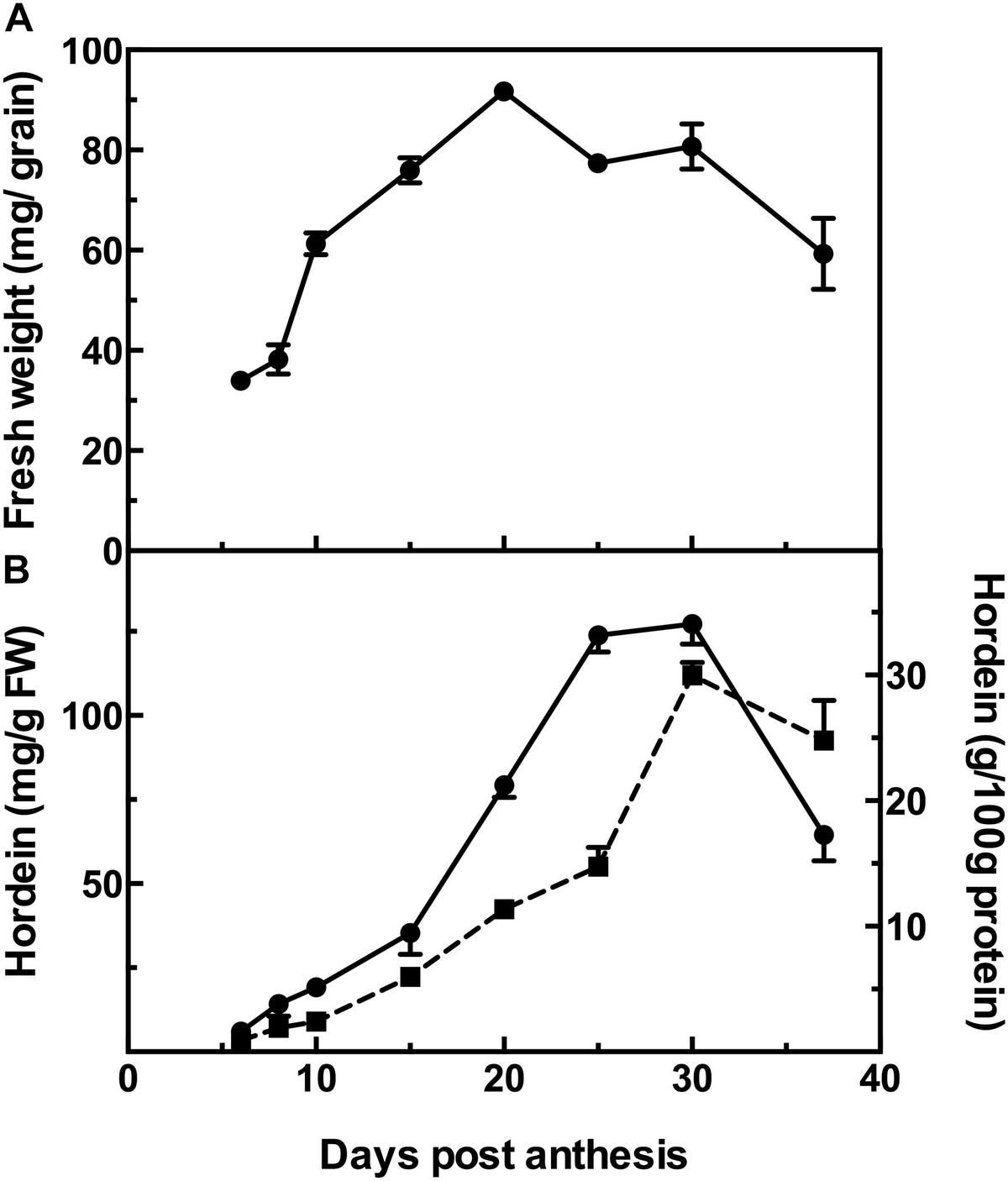 Frontiers | Hordein Accumulation in Developing Barley Grains