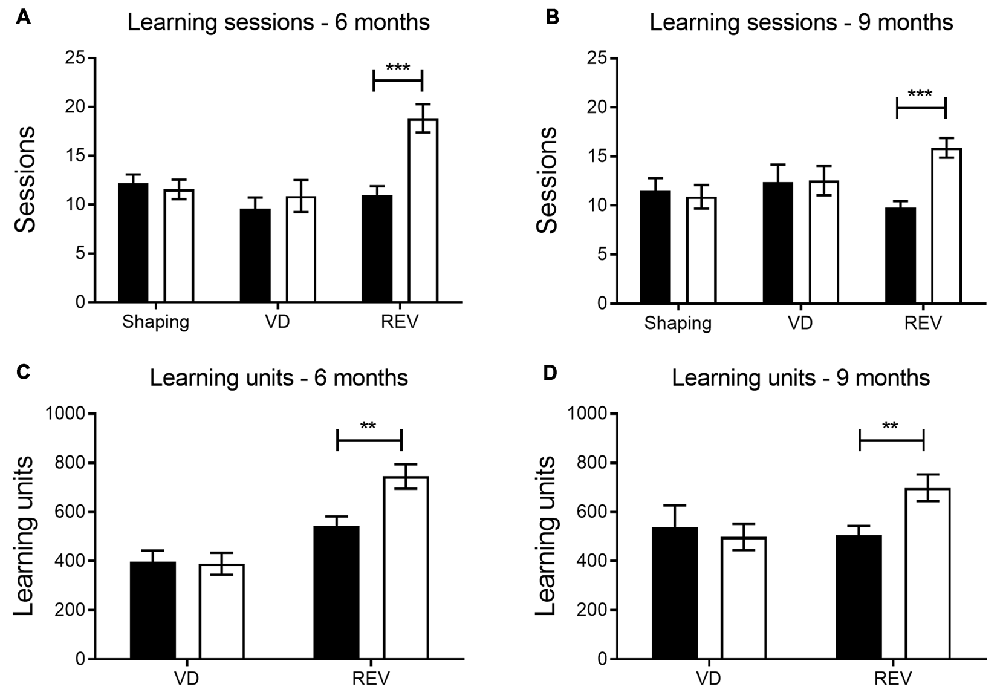 Frontiers | Impaired Reversal Learning in APPPS1-21 Mice in the ...