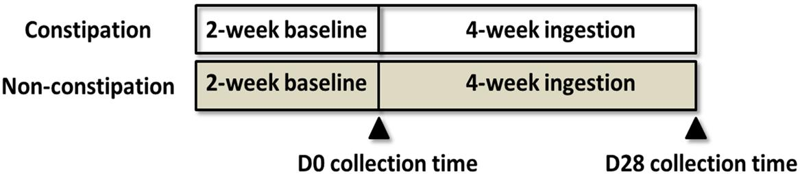 Frontiers | Lactobacillus casei Strain Shirota Alleviates Constipation ...
