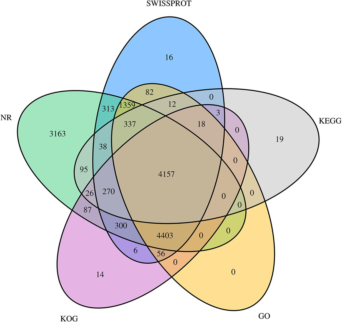 Frontiers | Transcriptomic Analysis of the Onchidium reevesii Central ...