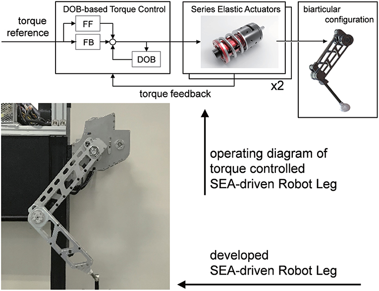 Frontiers | Development, Analysis, and Control of Series Elastic ...