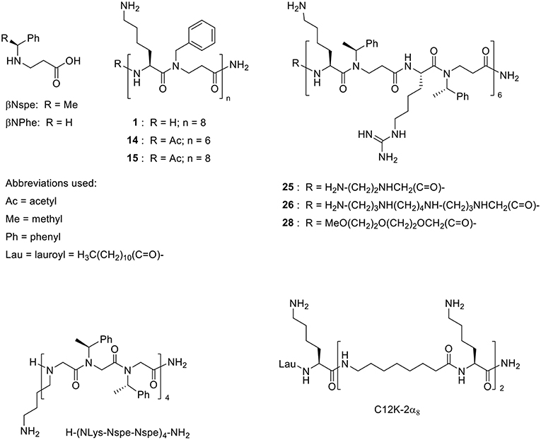 Frontiers | Repurposing Azithromycin and Rifampicin Against Gram ...
