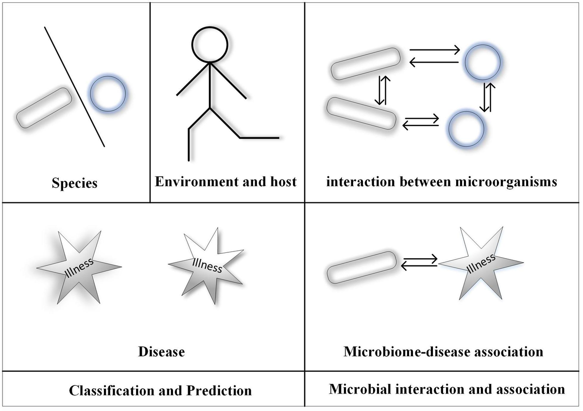 Frontiers | Application of Machine Learning in Microbiology