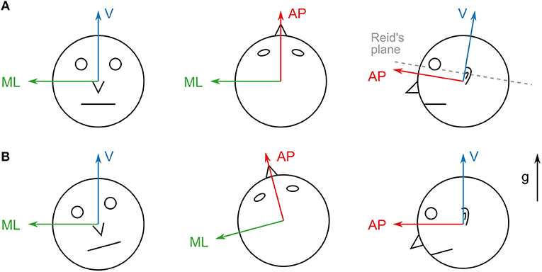 Frontiers | Ecological Momentary Assessment of Head Motion: Toward ...