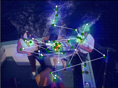 Frontiers | Visual encoding and fixation target selection in free ...