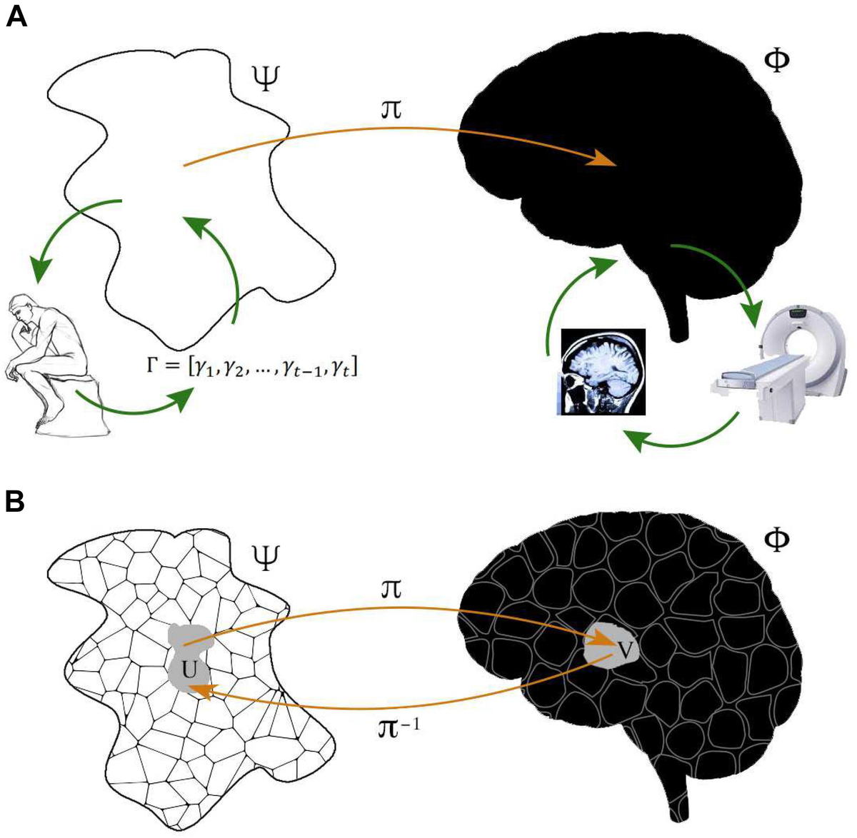 Frontiers | Gauging Functional Brain Activity: From Distinguishability ...
