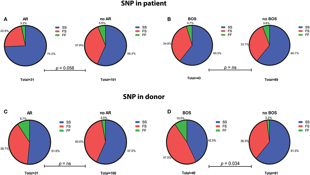 Frontiers | A Single Nucleotide C3 Polymorphism Associates With ...
