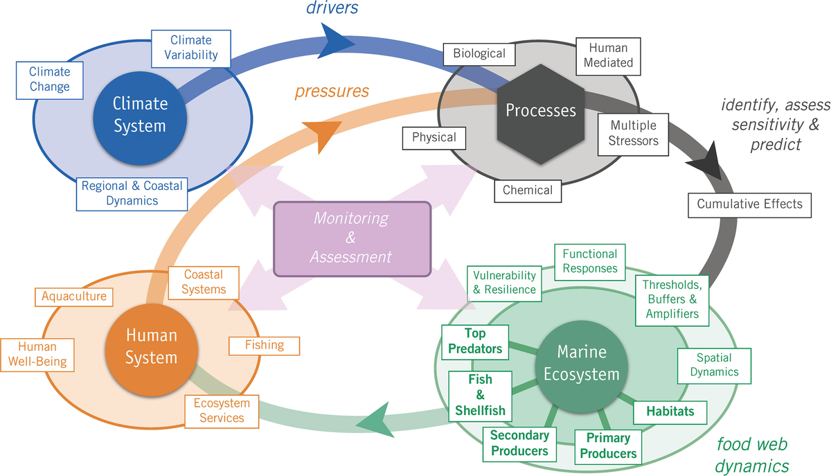 Frontiers | Developing a Social–Ecological–Environmental System ...