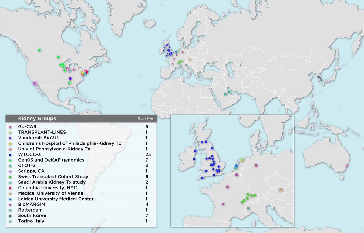Frontiers | Genome-Wide Study Updates in the International Genetics and ...