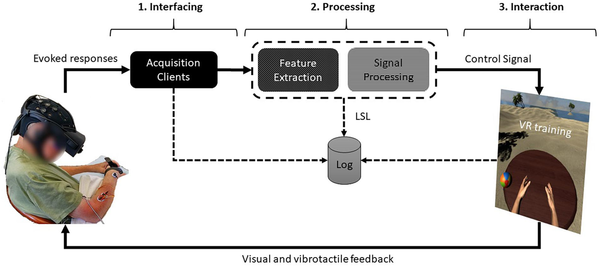 Frontiers | Effects of a Brain-Computer Interface With Virtual Reality ...