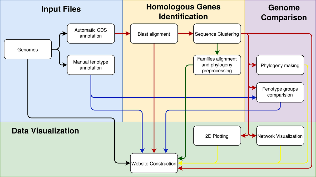 Frontiers | Gene Tags Assessment by Comparative Genomics (GTACG): A ...