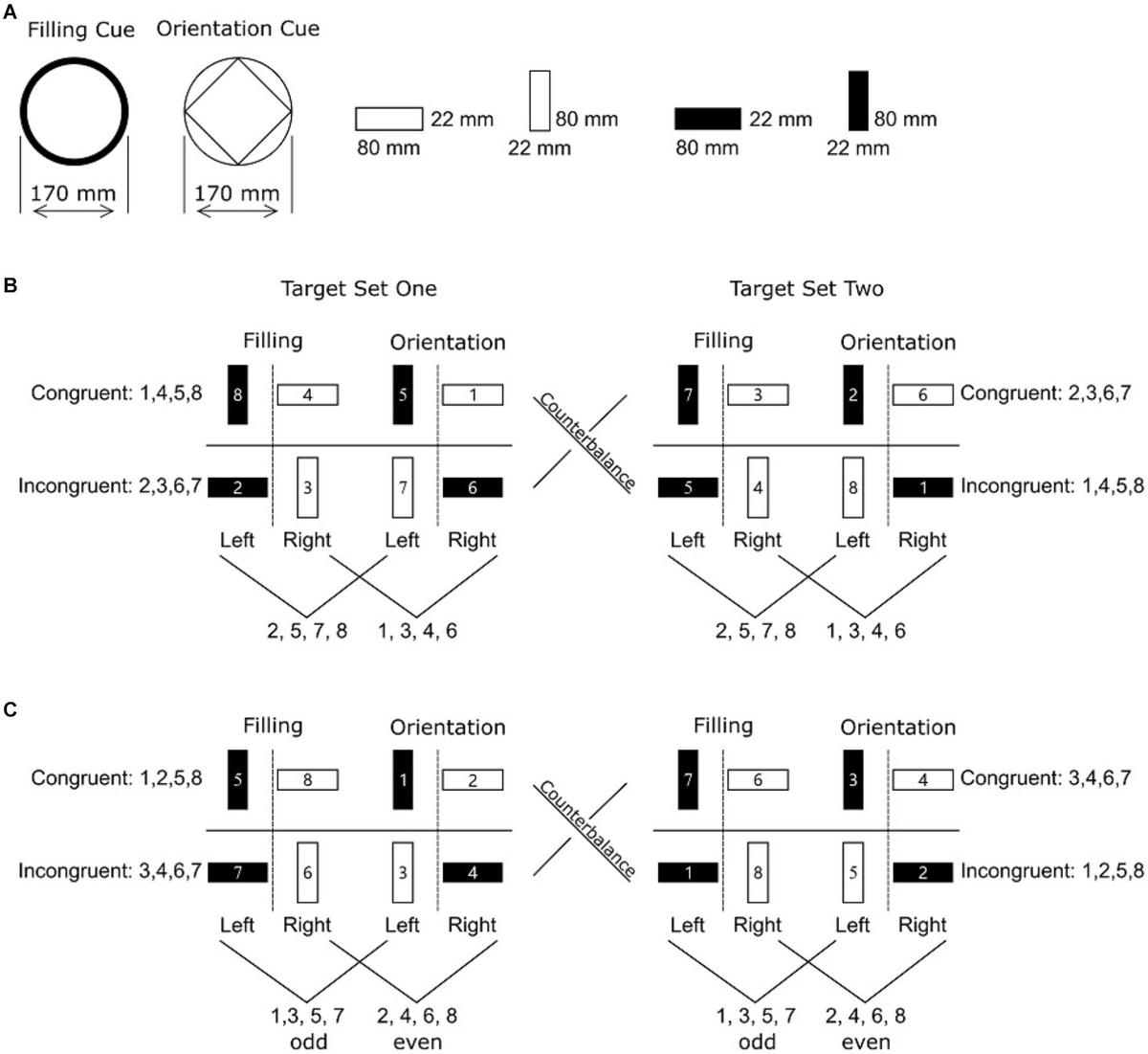 Frontiers | Exploring the Limitations of the Shielding Function of Categorization Rules in Task ...
