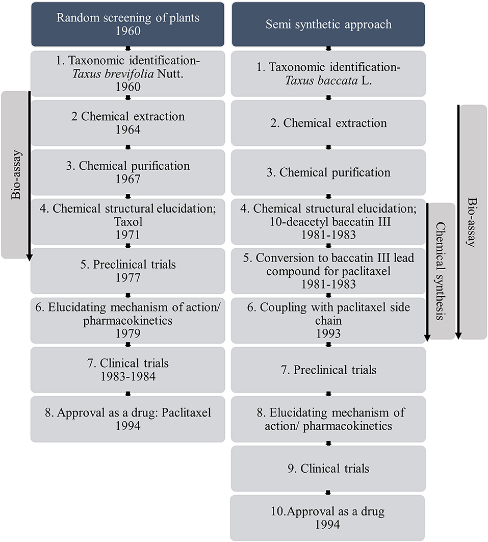 Frontiers | Combining Evolutionary Inference and Metabolomics to ...