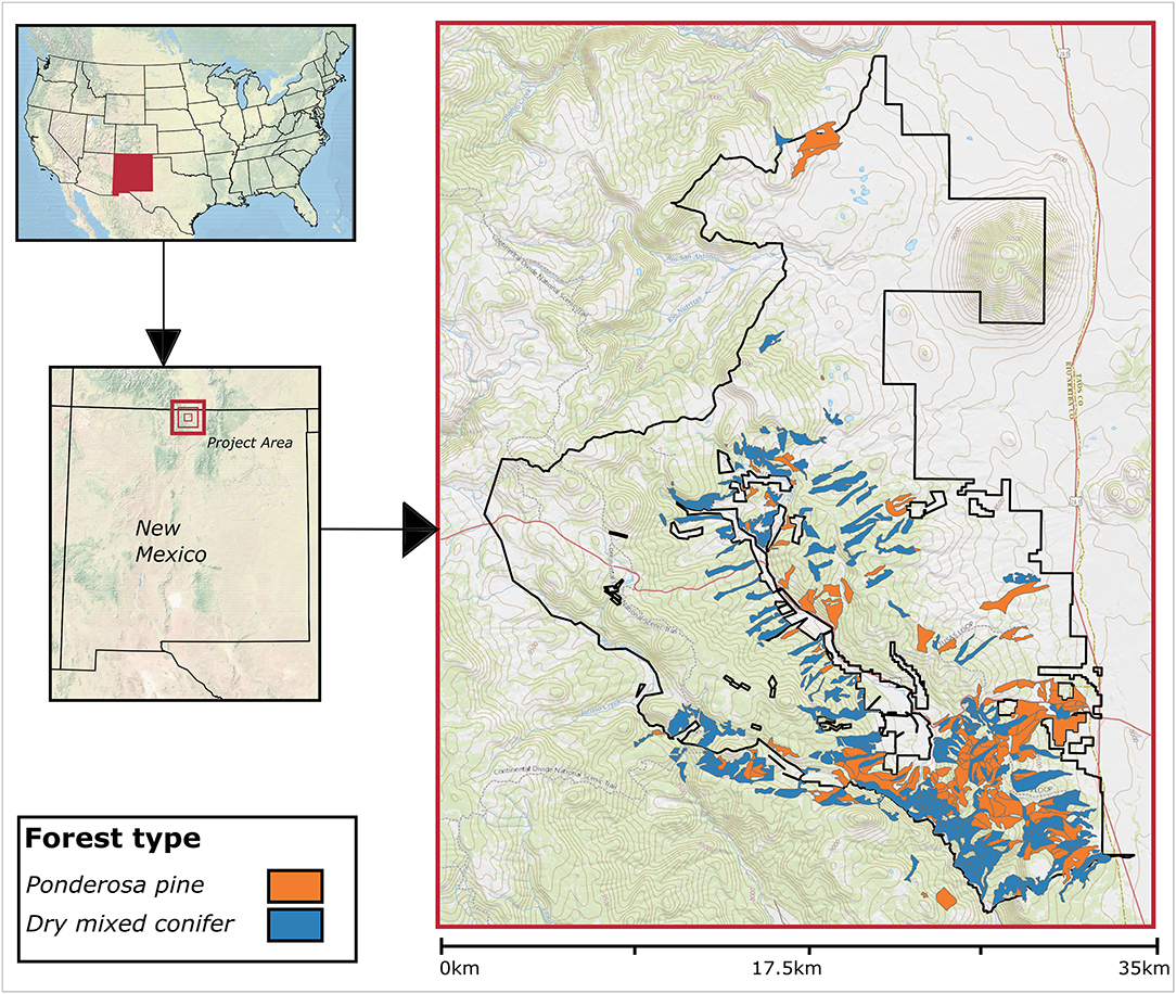 Frontiers | A Framework for Quantifying Resilience to Forest Disturbance