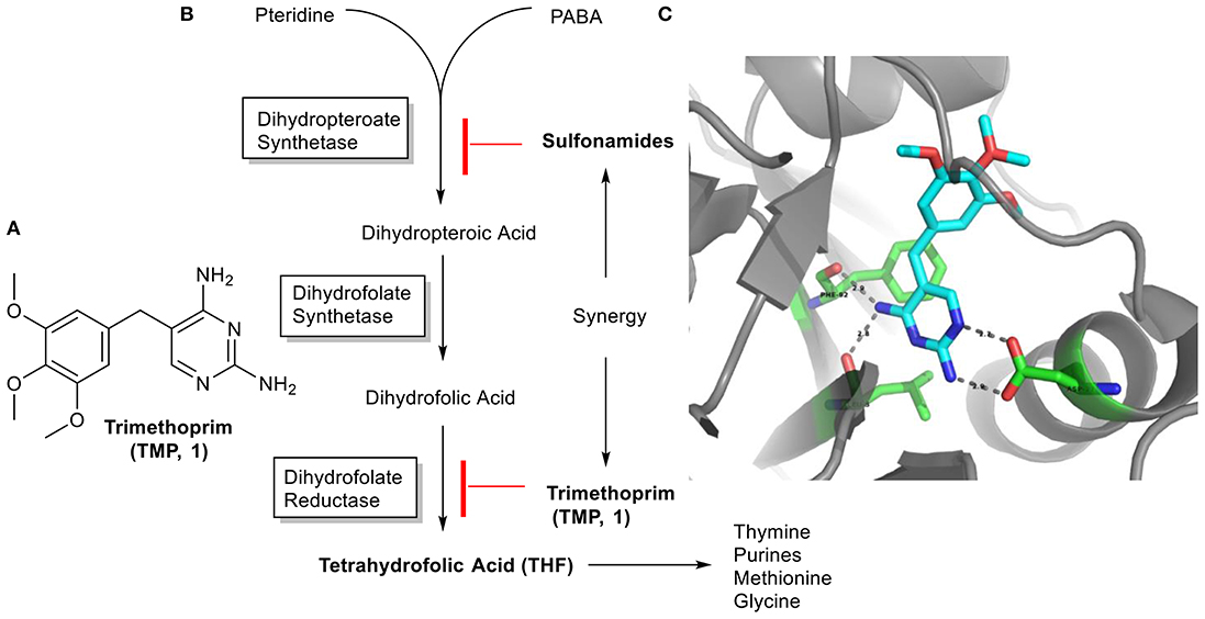 Frontiers | Multicomponent Reactions Upon the Known Drug Trimethoprim ...