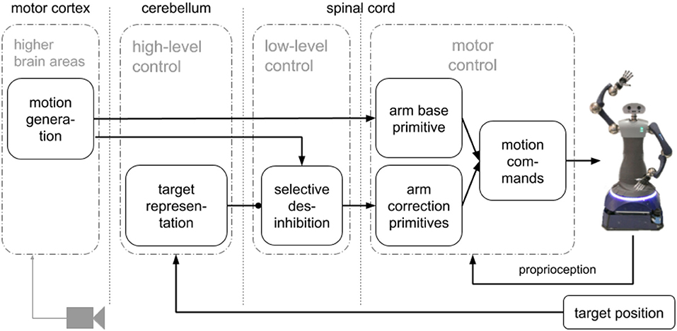 Frontiers | Generating Pointing Motions for a Humanoid Robot by ...