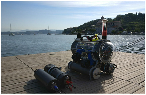 Frontiers | Underwater Robotics Competitions: The European Robotics ...