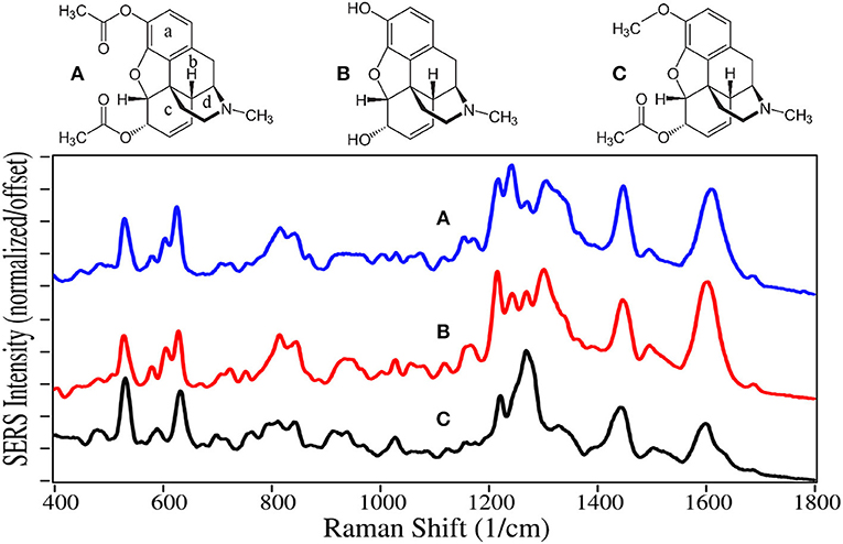Frontiers | A Surface-Enhanced Raman Spectral Library of Important ...