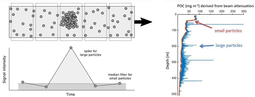 Frontiers | Sinking Organic Particles in the Ocean—Flux Estimates From ...