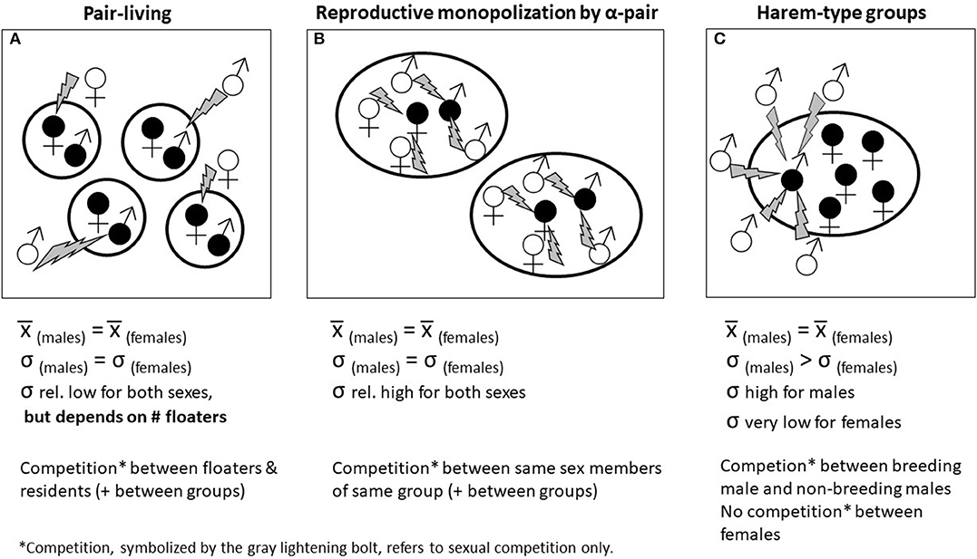 Frontiers | Of Apples and Oranges? The Evolution of “Monogamy” in Non ...