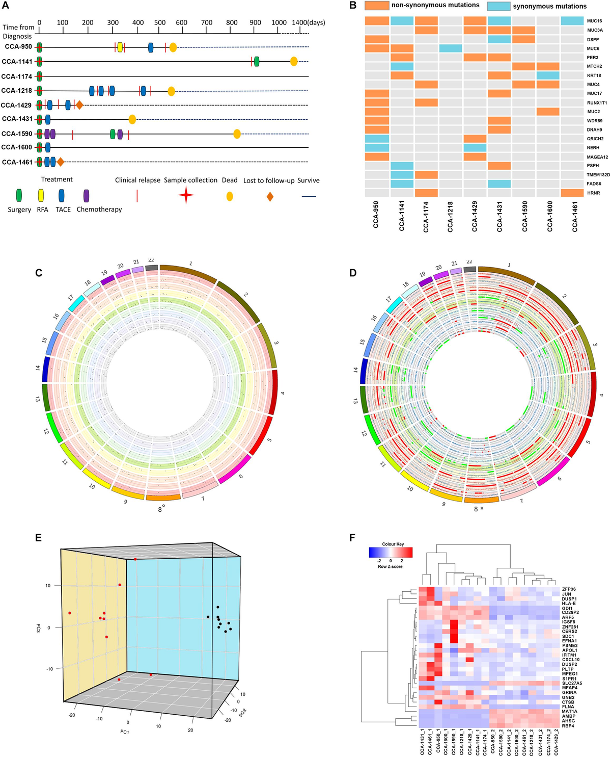 Frontiers | Genomic and Transcriptomic Landscape of Tumor Clonal ...