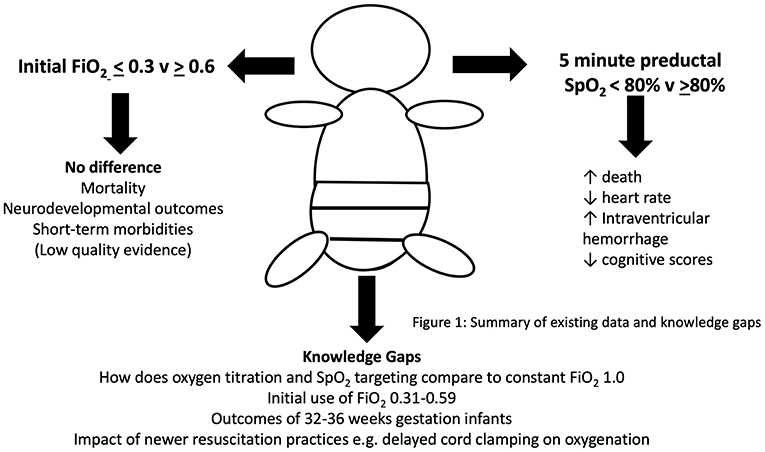 Frontiers | Is There a “Right” Amount of Oxygen for Preterm Infant ...