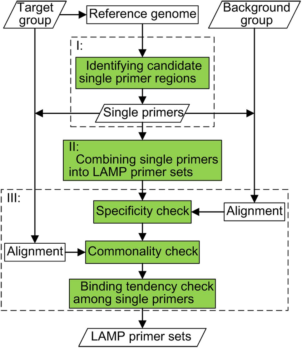 Frontiers | GLAPD: Whole Genome Based LAMP Primer Design for a Set of ...