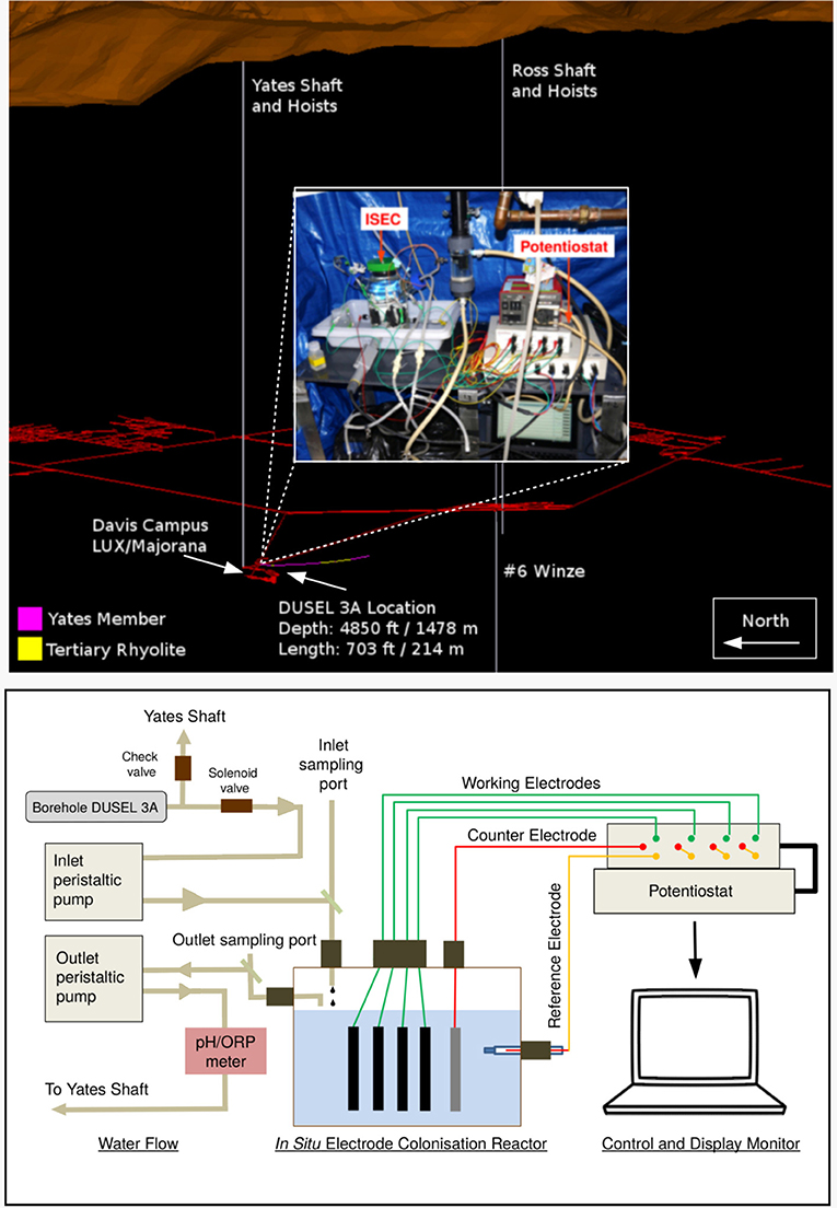 Frontiers | In situ Electrochemical Studies of the Terrestrial Deep ...