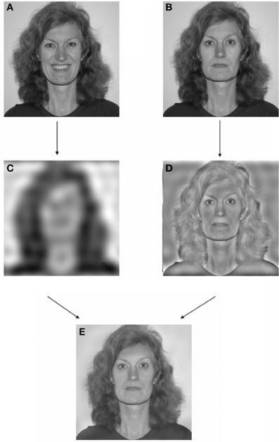 Frontiers | Invisible emotional expressions influence social judgments ...